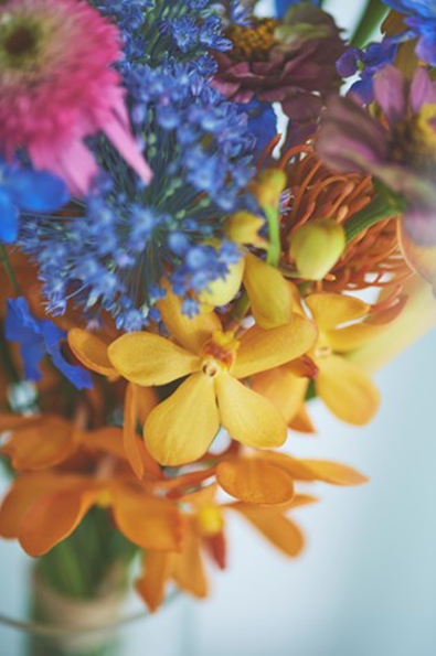 忙しい毎日を彩るフレンチカジュアルブランド「Idnès（イドネス）」新作ラインナップを7月26日(土)より全国発売！ | ジーイエット株式会社 ...